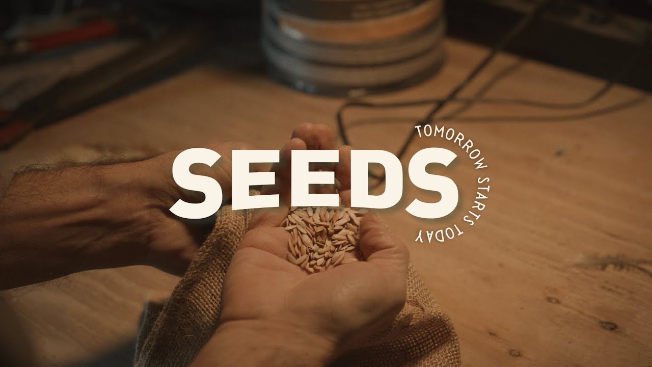 🌱 SEEDS Sermon Series & Book Study – Starting March 9th! 🌿📖 - YouTube