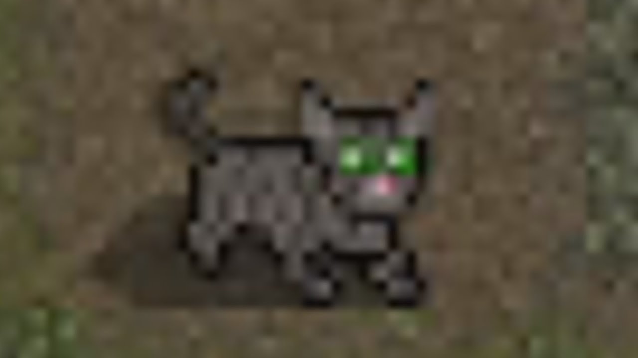 Iridescent cat | Cataclysm: Dark Days Ahead Bestiary - YouTube