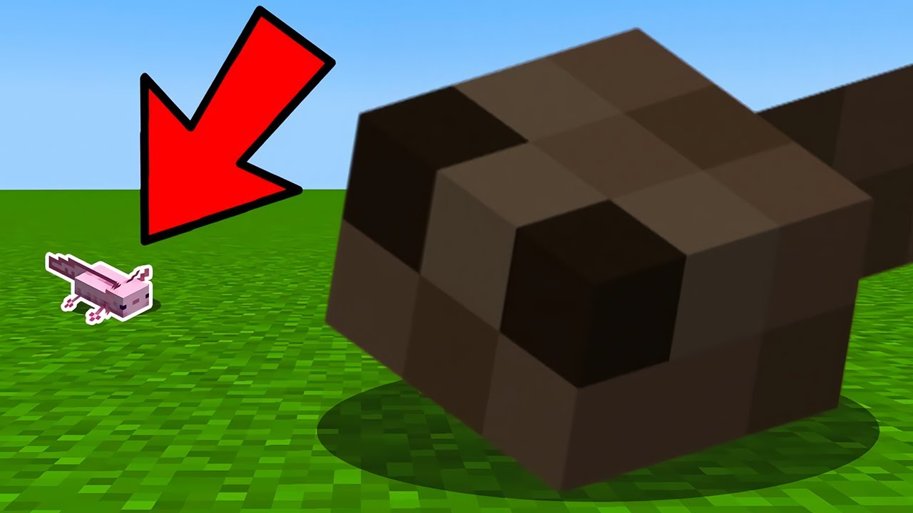 Girino GIGANTE contra um MINI Axolote no MINECRAFT! - YouTube