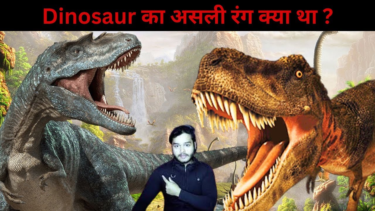 Amazing facts | Factlawz - YouTube