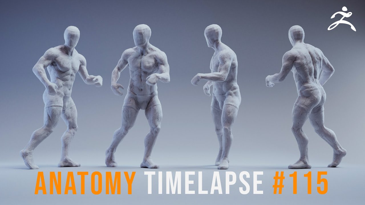 Sculpting the Anatomy in Motion. - YouTube