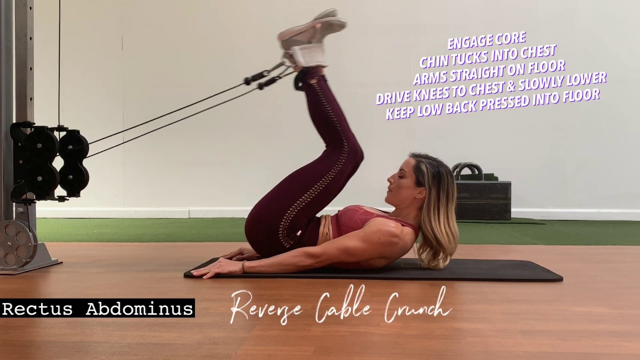 Reverse Cable Crunch - YouTube