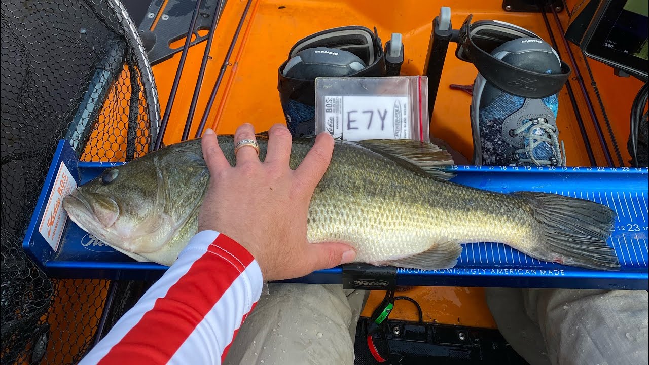 Lake O' The Pines In One Of The Best Bass Lakes In Texas - YouTube
