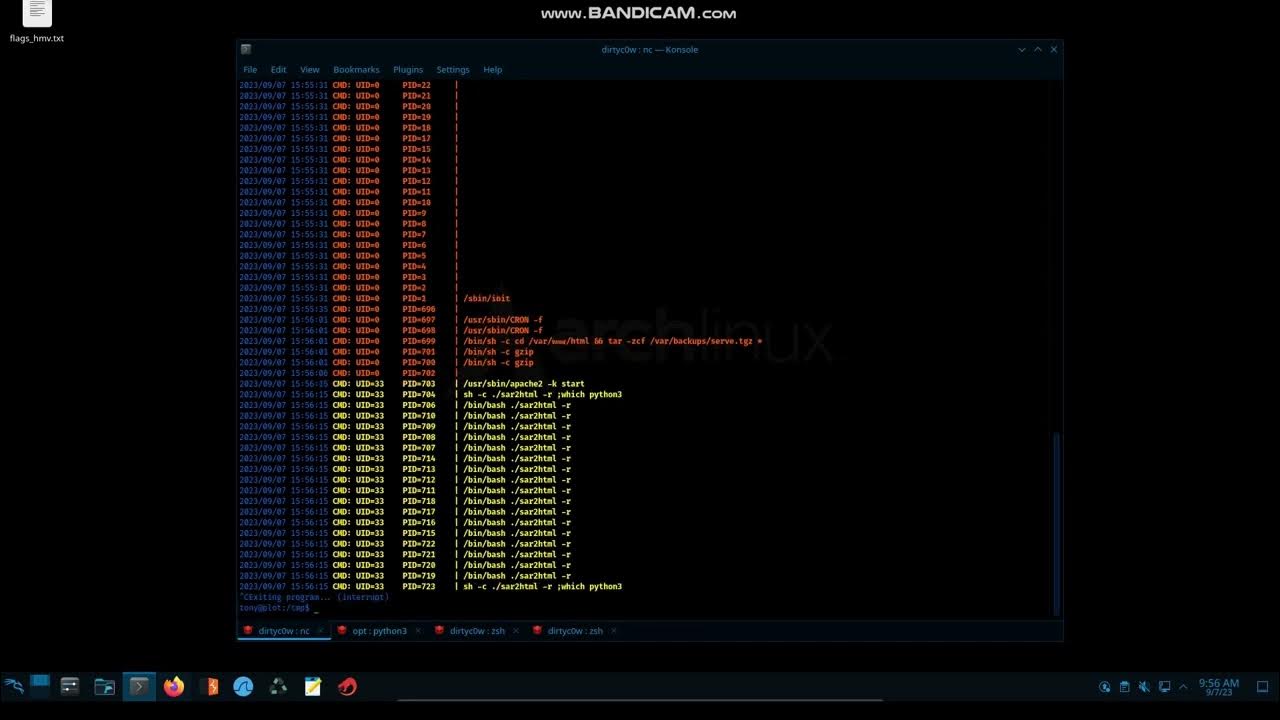 VulNyx | Plot - YouTube