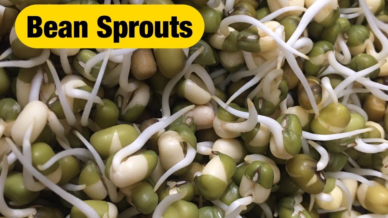 Beansprouts||How to make Beansprouts easy way ||HealthyFood ...