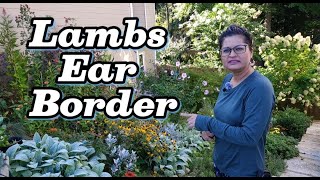 How To Create A Lambs Ear Garden Border #BudgetFriendlyProject