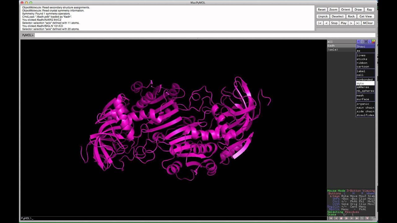 pymol 1, changing protein views - YouTube