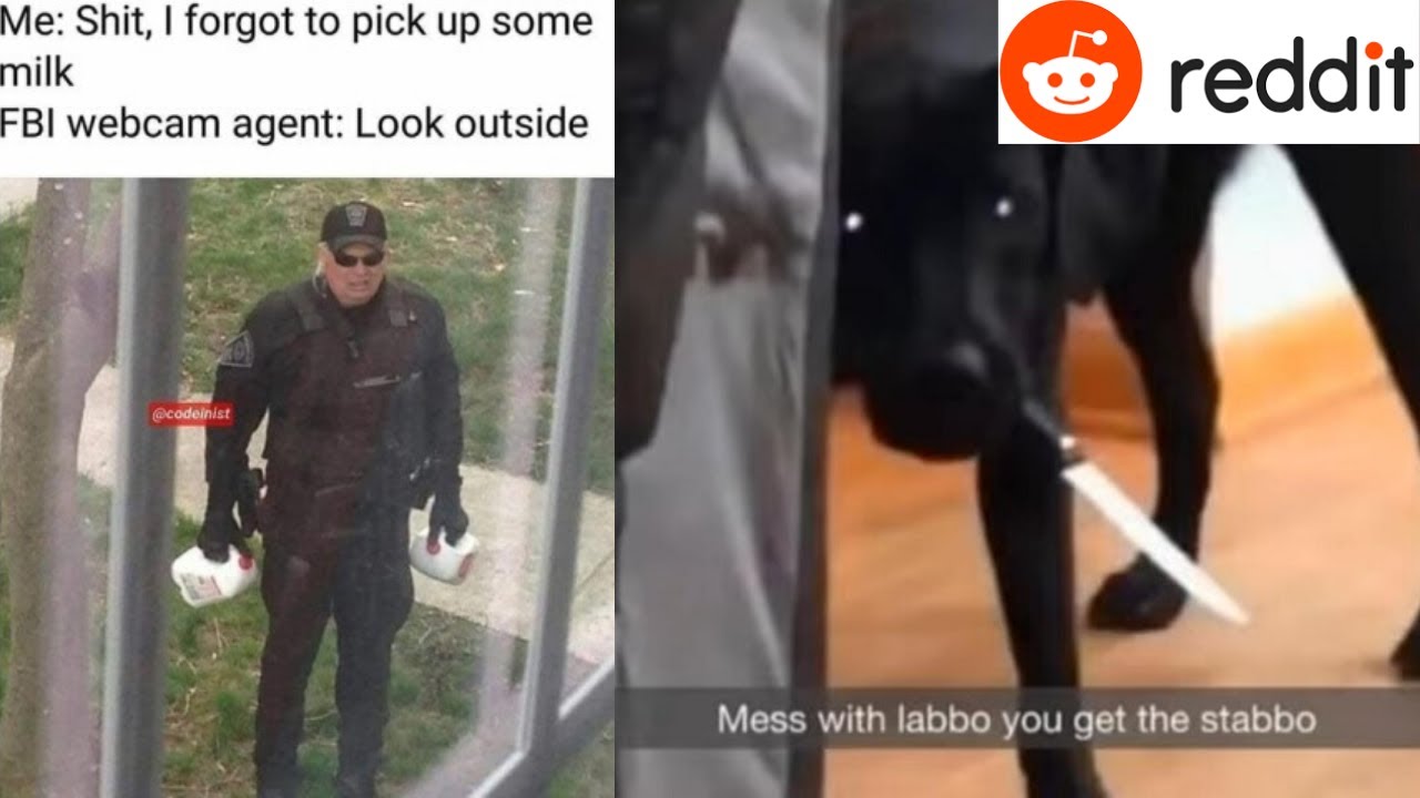 BEST REDDIT MEMES COMPILATION - YouTube