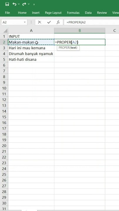 Fungsi PROPER pada Excel-Membuat huruf besar pertama - MasterExcelCode #excel #exceltips # ...