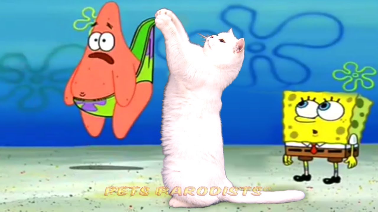 Beating Up Patrick - YouTube