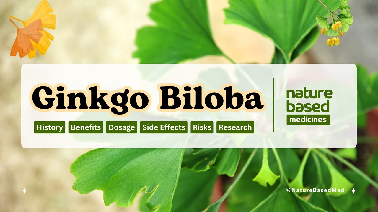 Ginkgo Biloba (Maidenhair tree) Health Benefits, Dosage, Side Effects ...