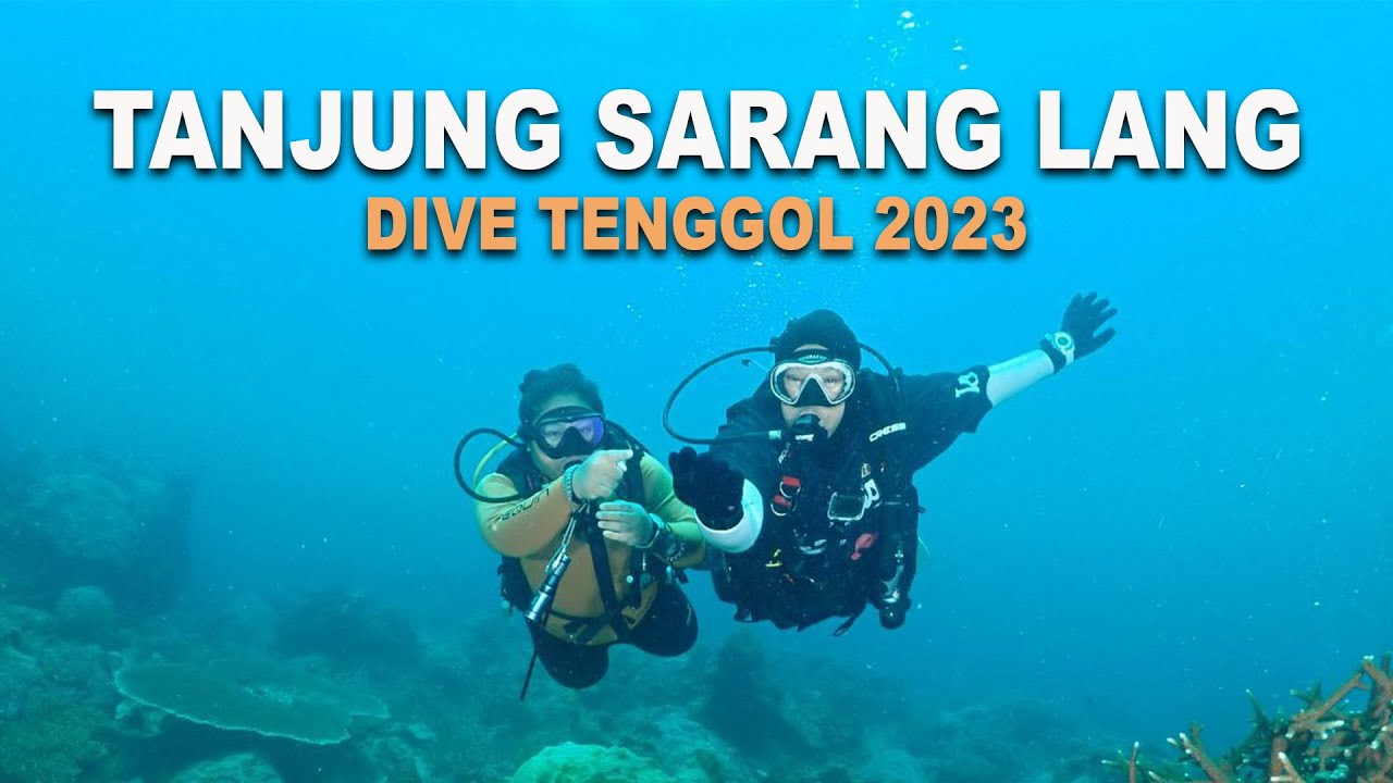 #DIVELOG Tenggol Island 2023 : Dive Site TANJUNG SARANG LANG - Che Wan ...