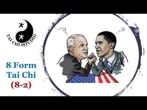 8 Form Tai Chi (8-2, Brush knee)