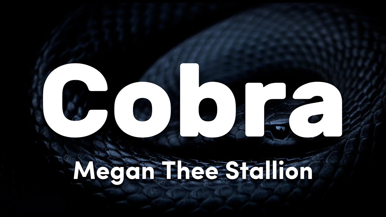 Megan Thee Stallion - Cobra (Lyrics) - YouTube
