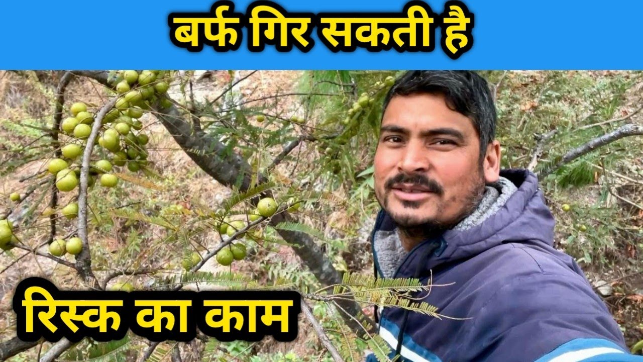बर्फ गिर सकती है || Pahadi Lifestyle Vlog || Sukhdev Bhandari - YouTube