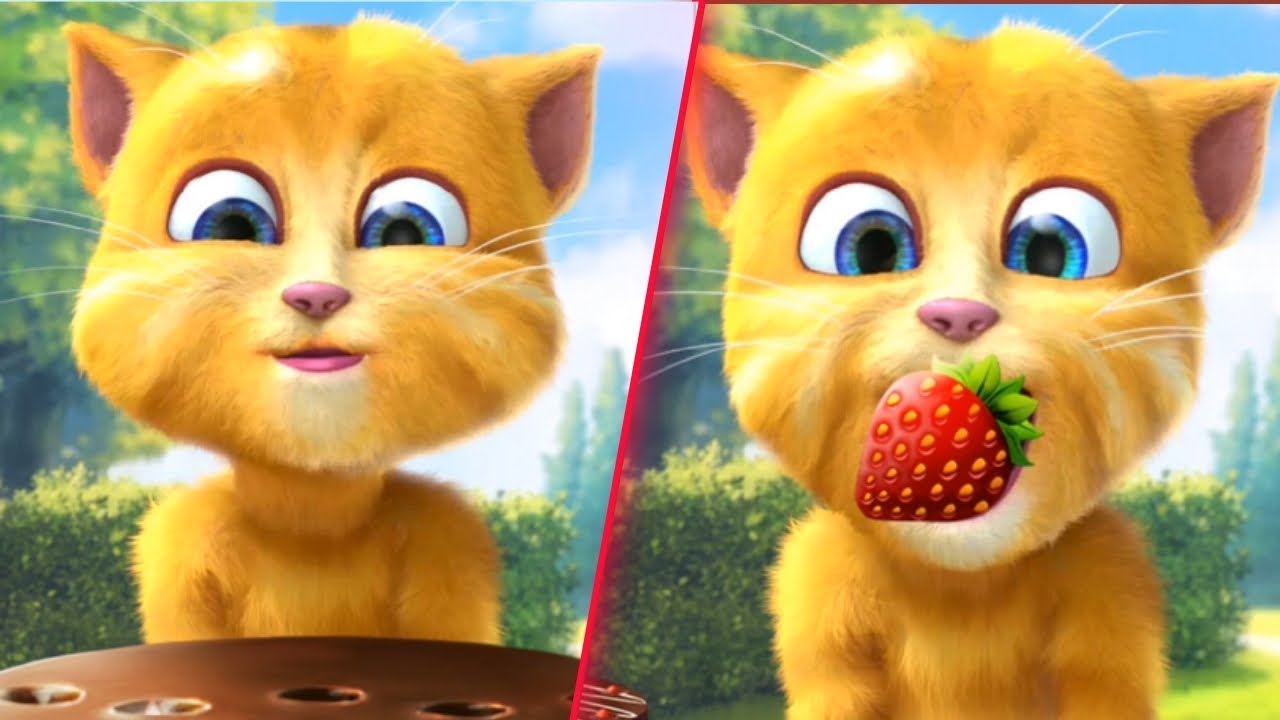 Talking Ginger Eating and Birthday Candles - Funny Things - YouTube