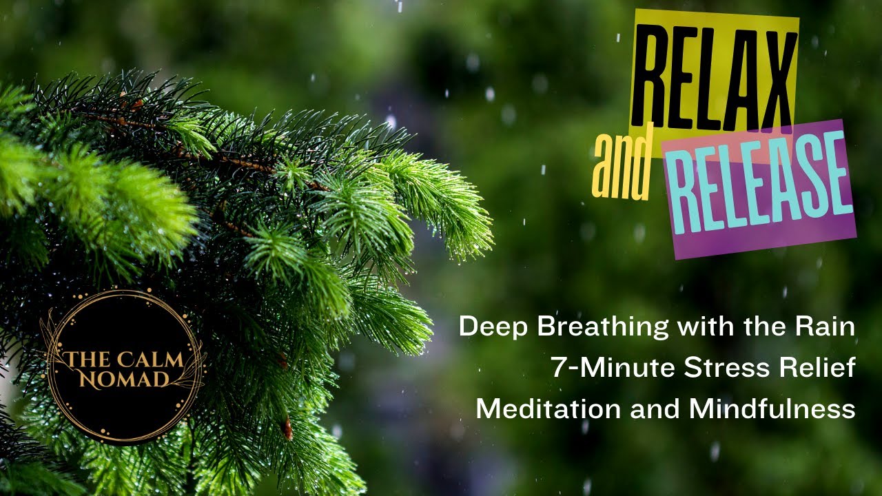 Relax and Release: Deep Breathing with the Rain | 7-Minute Stress ...