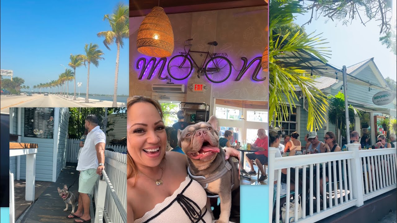 Último Día en Key West! 🏝️ Desayuno, Bar y Compras con Nuestro Frenchie ...