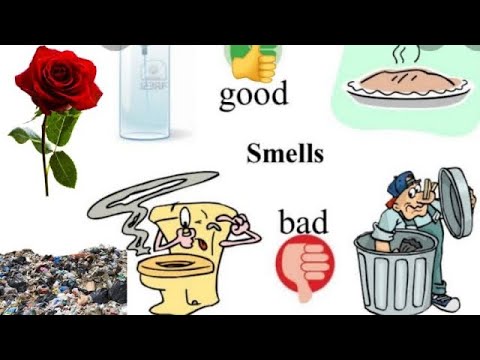 Do you stink? - YouTube