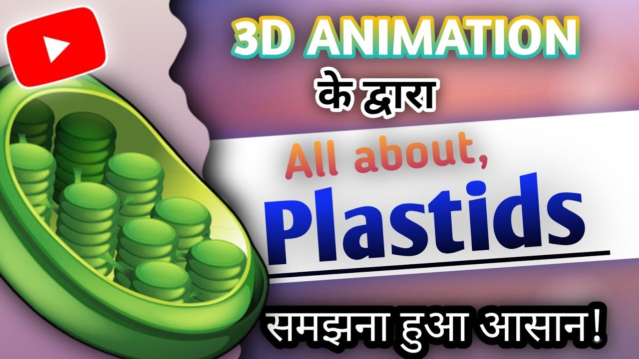 Plastids || what is Plastids? and Their Types || 3D ANIMATION ...