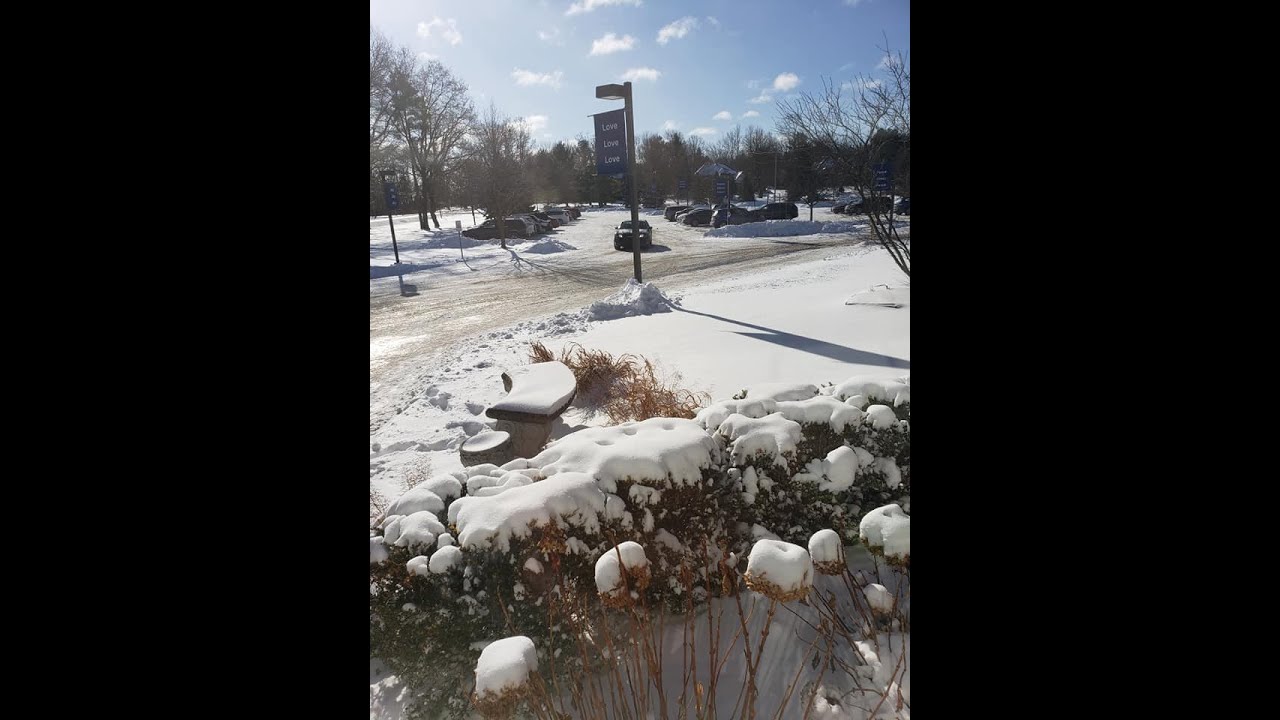 🌺Crazy Michigan weather - snow in April (2020)👌 - YouTube