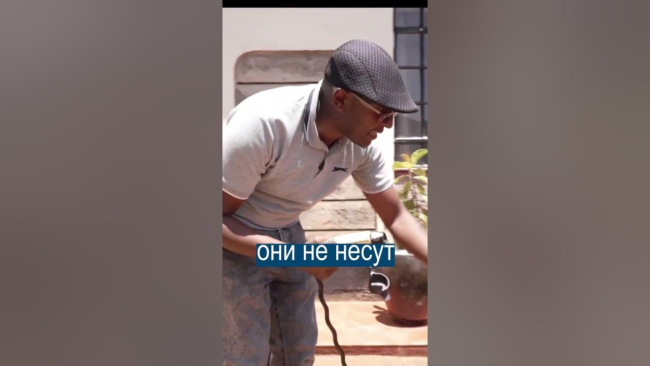 Фермер вырабатывает энергию из куриного помёта Youtube