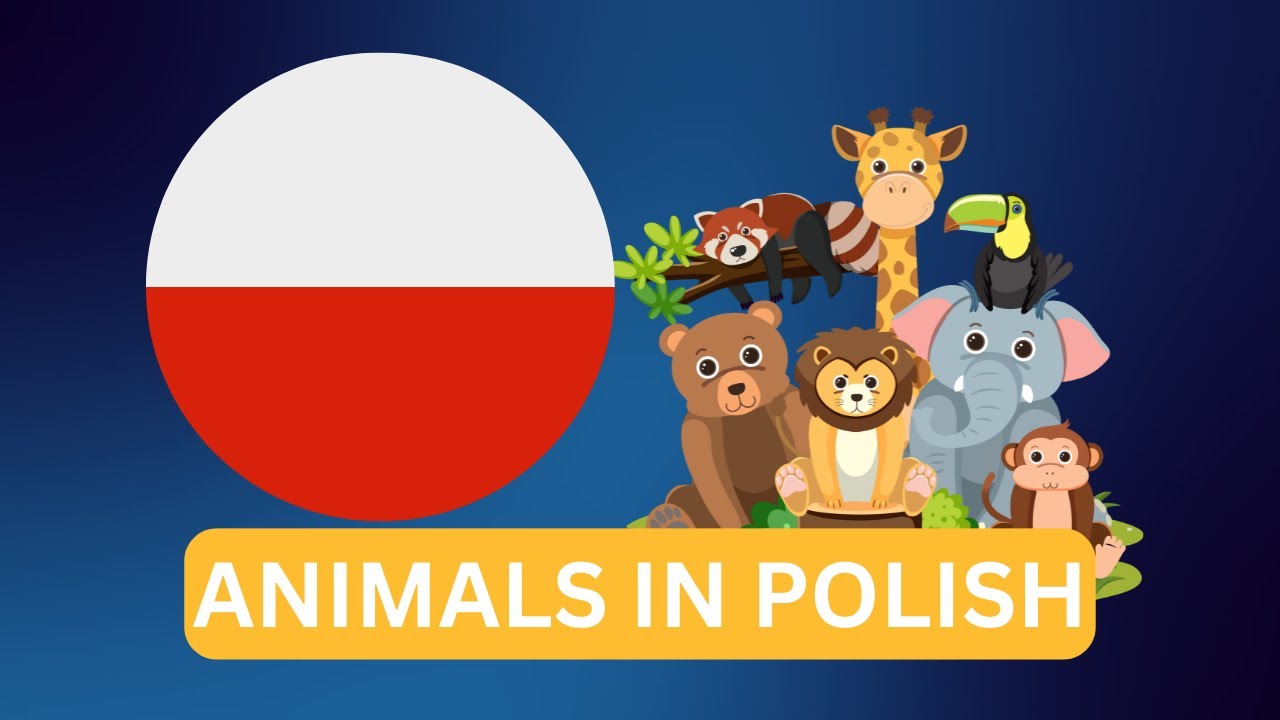 Animals in Polish | Animals in Polish Language | Polish Vocabulary A1 ...