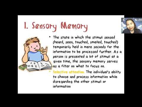 Information Processing Theory - YouTube