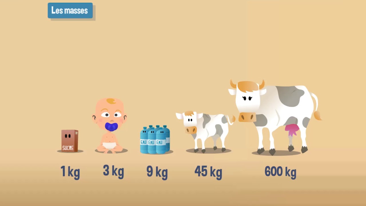 Savoir calculer et comparer les masses - CE1 - YouTube