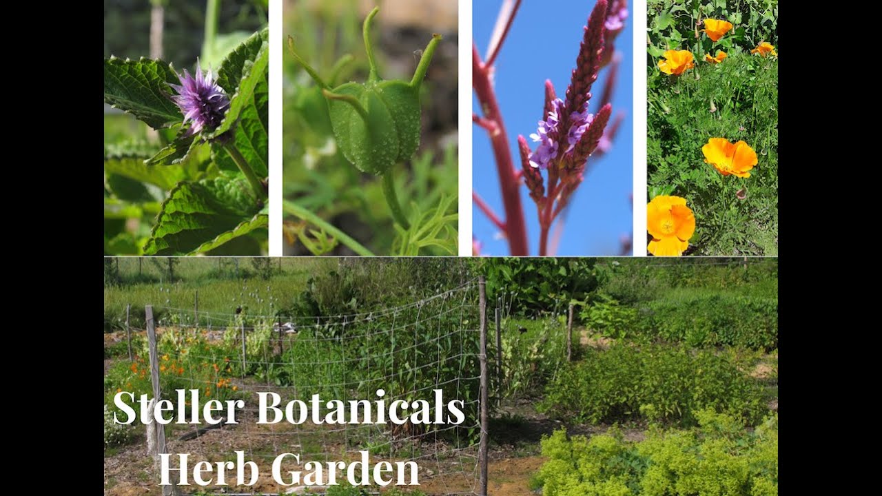 Growing Vegetables with Jen Landry in Gustavus — In the Southeast ...
