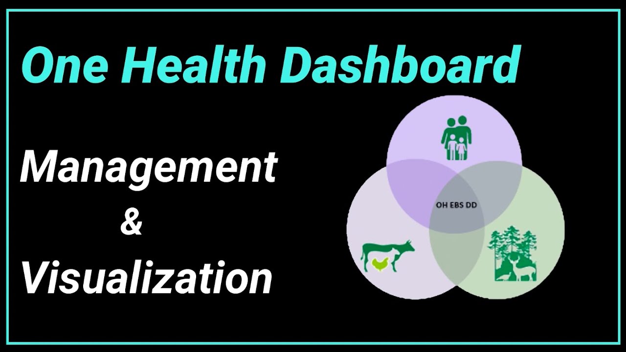 Bangladesh One Health Disease Surveillance System and Dashboard - YouTube