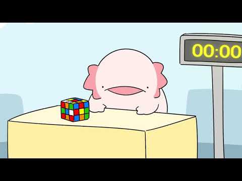 Axolotl collects the cube