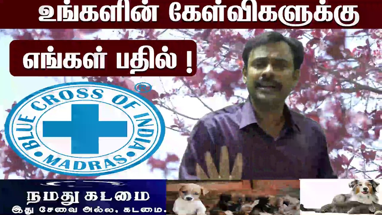 Blue Cross of India Chennai பற்றிய கேள்வி பதில்கள்! - YouTube