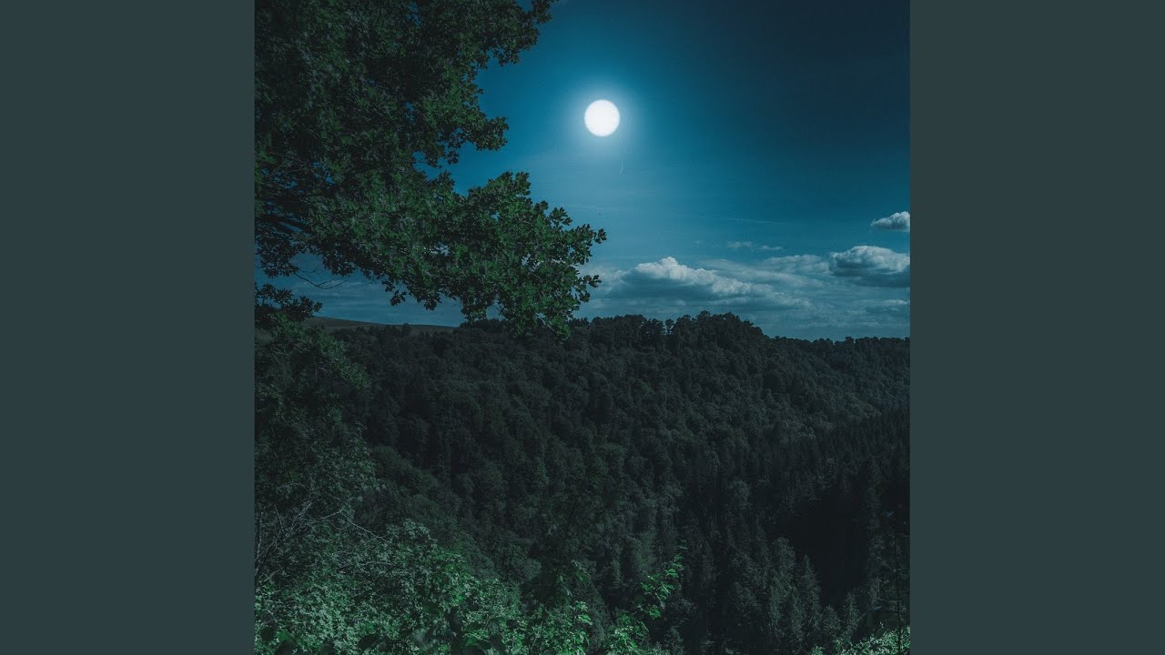 Gentle Pines Serenade - YouTube