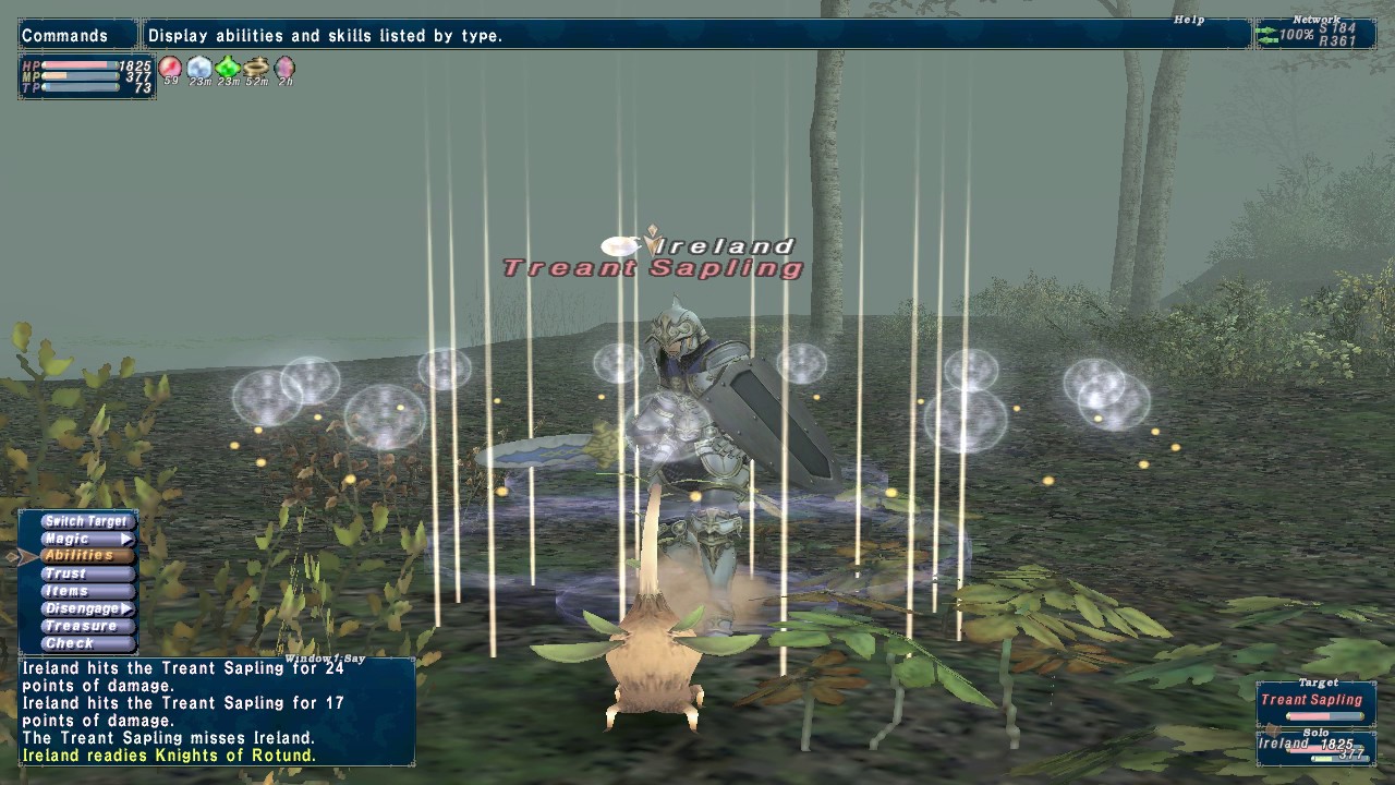 Final Fantasy XI FFXI PLD99WHM49 PLD Paladin Ireland Excalipoor II ...