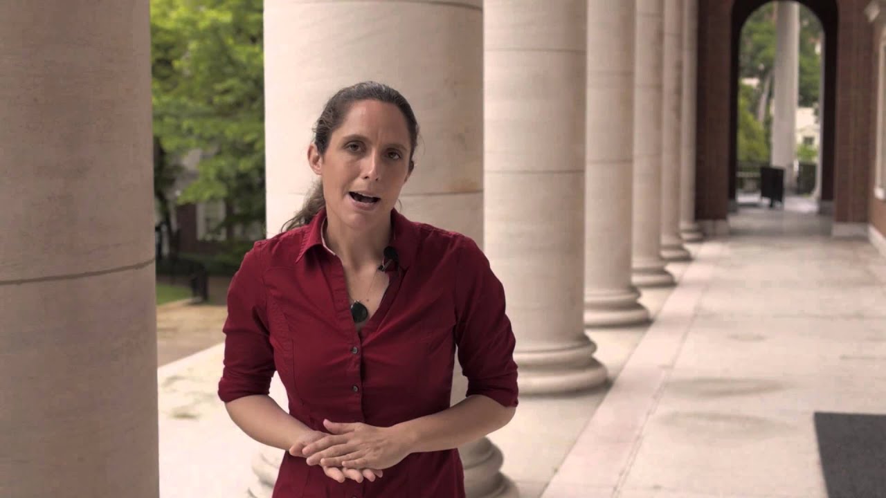 Support Research in Archaeology!!! - YouTube