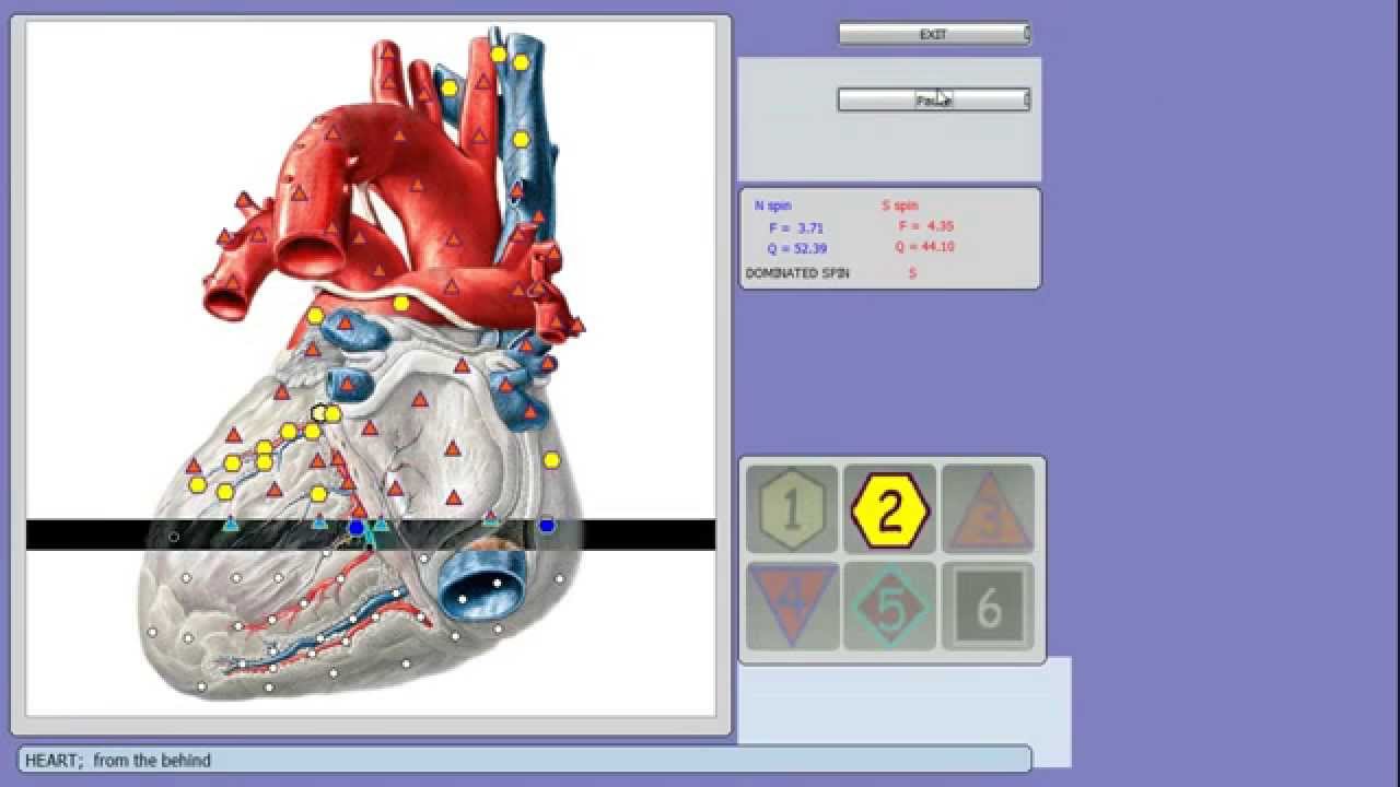 Bio resonance Diagnostic - YouTube