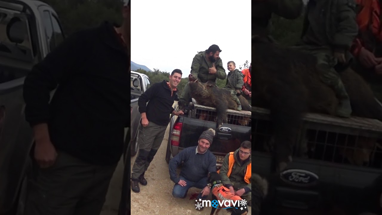 ΚΥΝΗΓΙ ΑΓΡΙΟΓΟΥΡΟΥΝΟΥ 19/01/2020 ΟΜΑΔΑ ΒΟΥΛΓΑΡΗ ΚΑΙ ΥΙΟΣ - YouTube