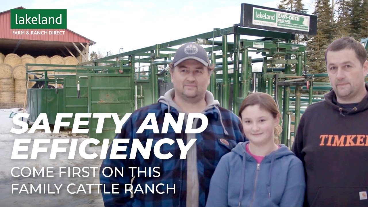 Safety and Efficiency Come First on this Family Cattle Ranch - YouTube