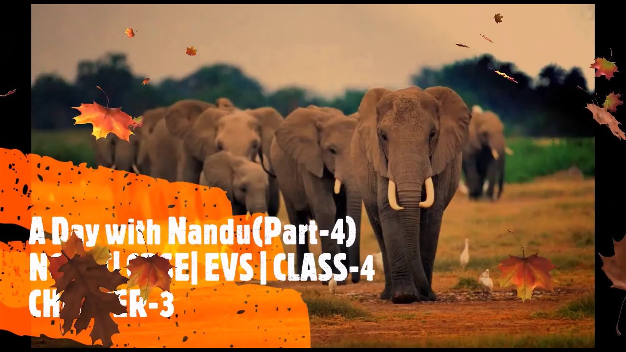 A Day with Nandu | Part-4 | NCERT | CBSE | CLASS-4 | EVS | CHAPTER-3 ...