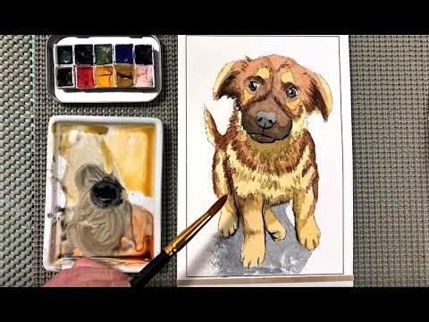 How to watercolor paint a cute dog part 7 - YouTube