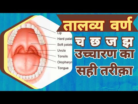 LEARN HINDI | च छ ज झ का उच्चारण कैसे करें | CH CHH J JH KA UCHCHARAN च ...