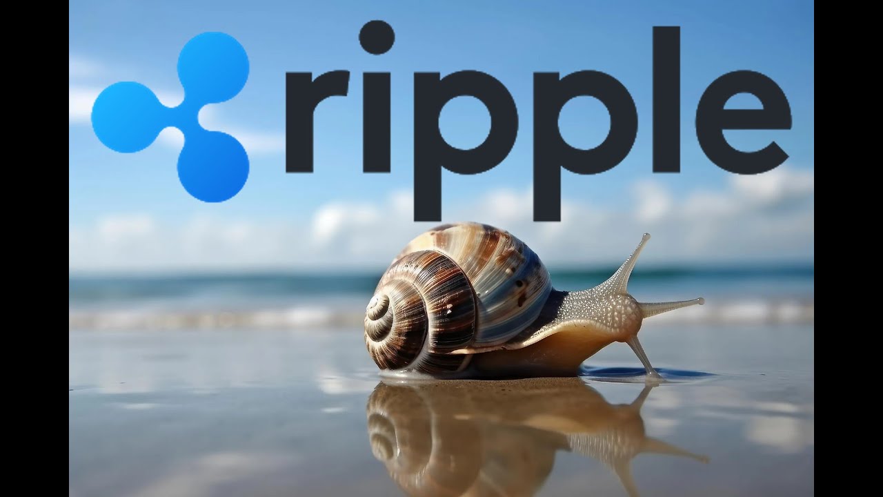 Little By Little Ripple Remains Victorious! - YouTube