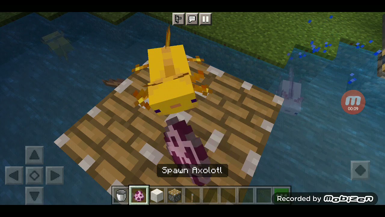 How To Make A Dancing Axolotl In Minecraft😩🍒 - YouTube