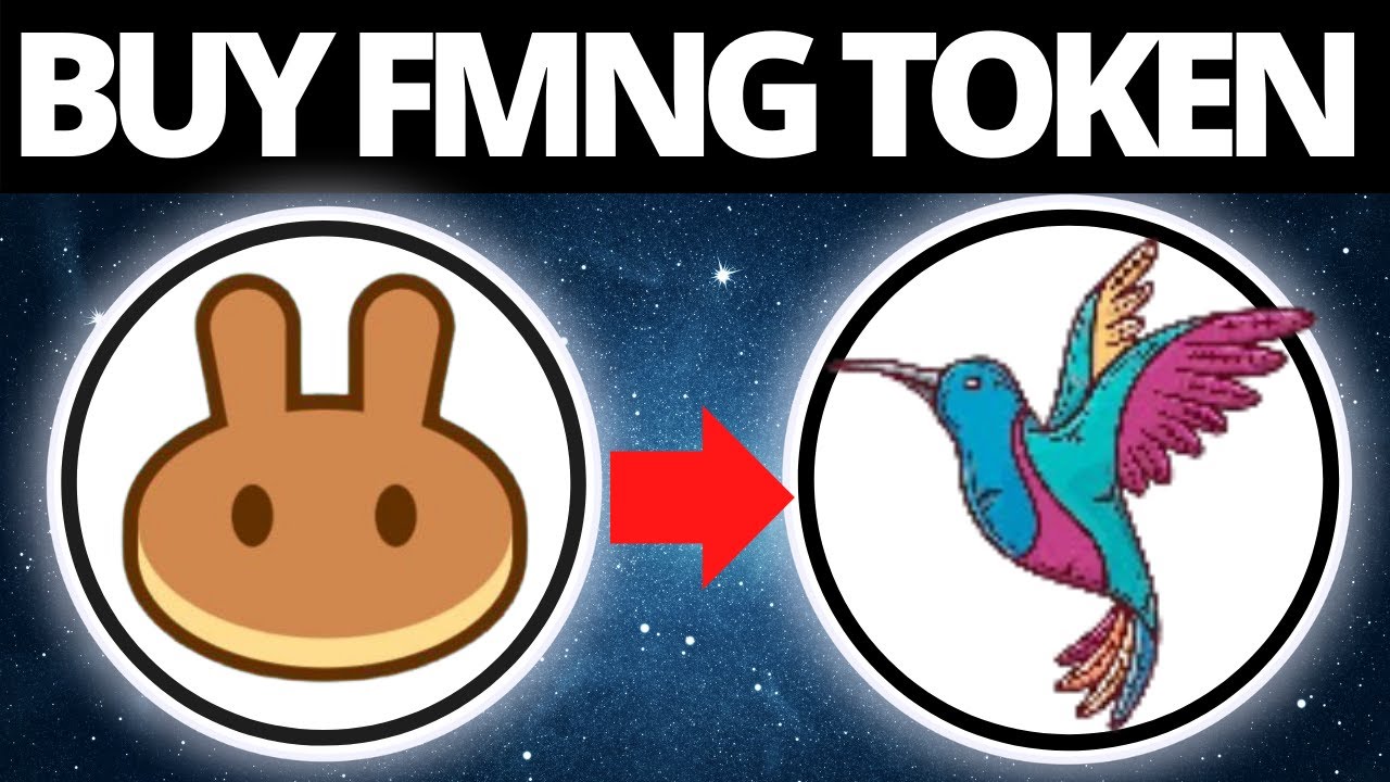 How To Buy HummingBird Finance Crypto Coin On PancakeSwap (HMNG Token ...