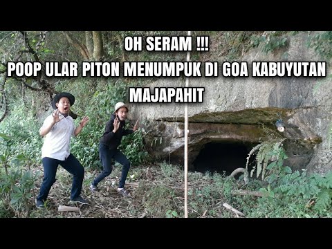 OH SERAM !!! POOP ULAR PITON MENUMPUK DI GOA KABUYUTAN MAJAPAHIT - YouTube