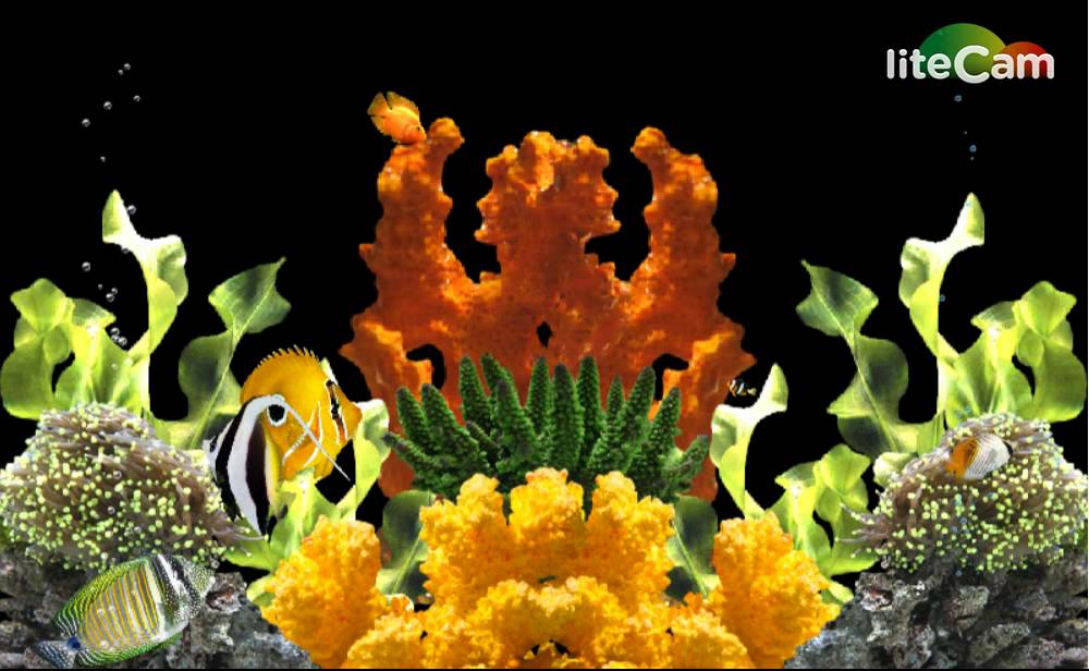 color zing - YouTube