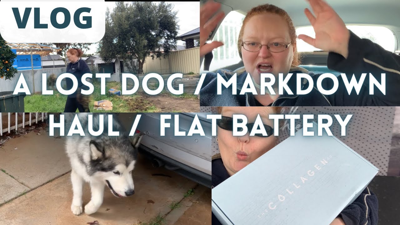 Adventures Galore / A lost dog / Markdown Haul / Flat Battery / VLOG - YouTube