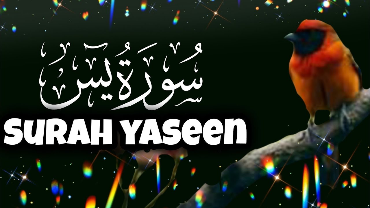 Surah Yaseen Episode 91 Full by Molana Zahid Awan - YouTube