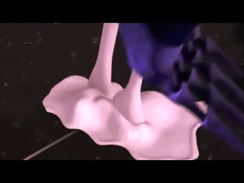 Sticky Scene - Teenage Mutant Ninja Turtles 2012, The Legend Of Kuro Kabuto